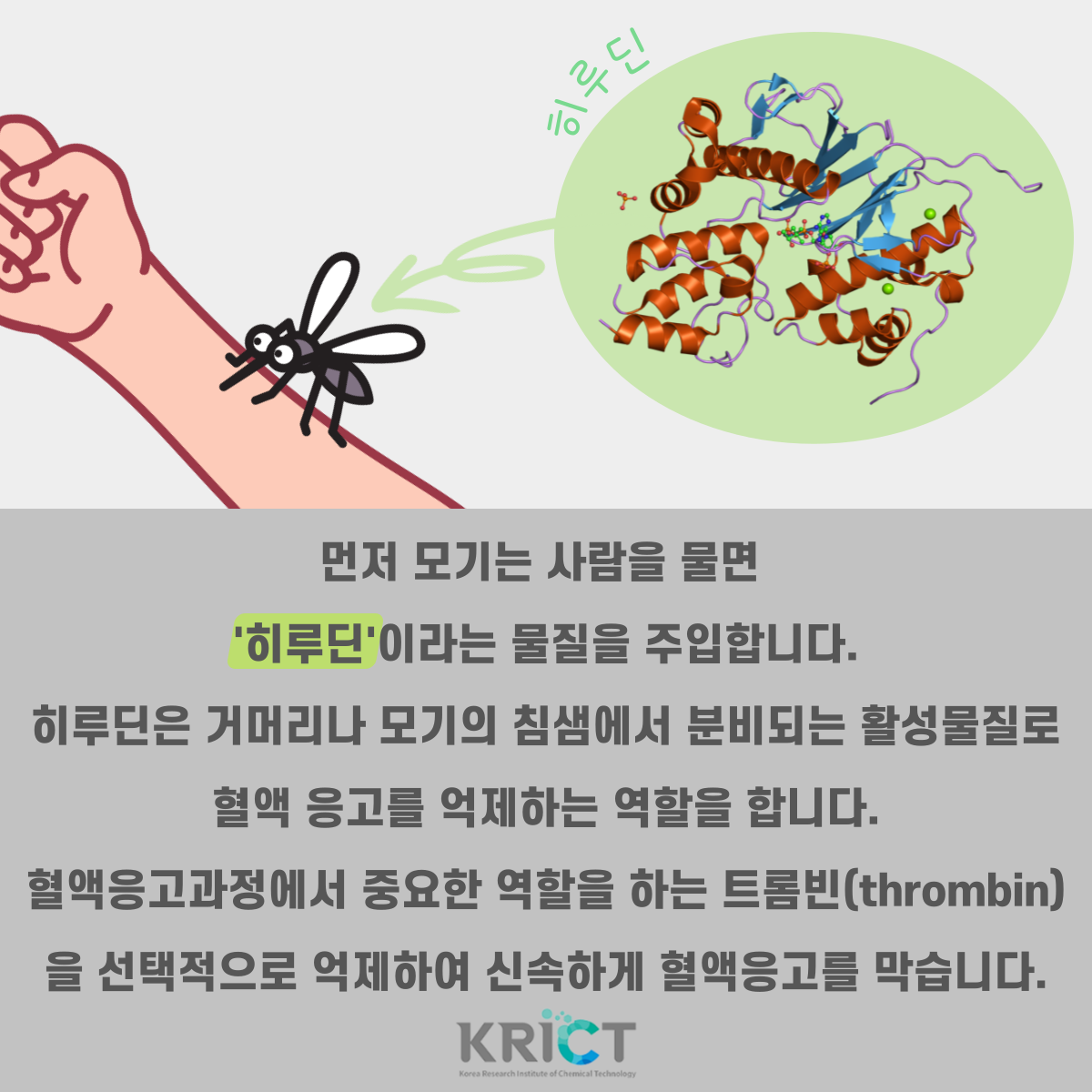 화학사랑 케미러브