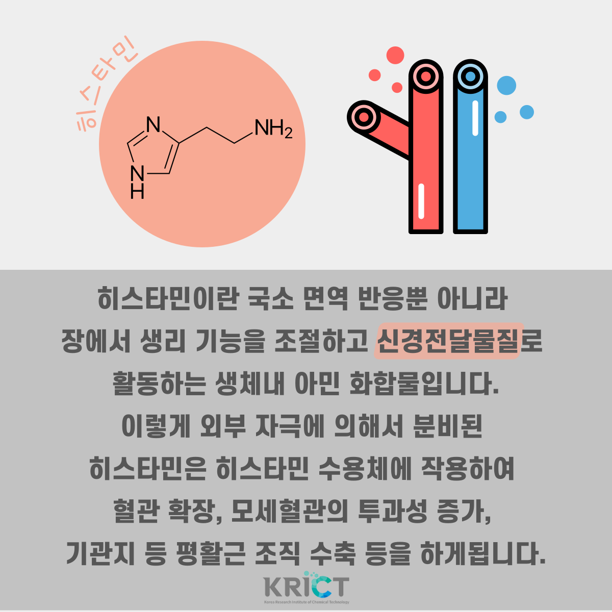 화학사랑 케미러브